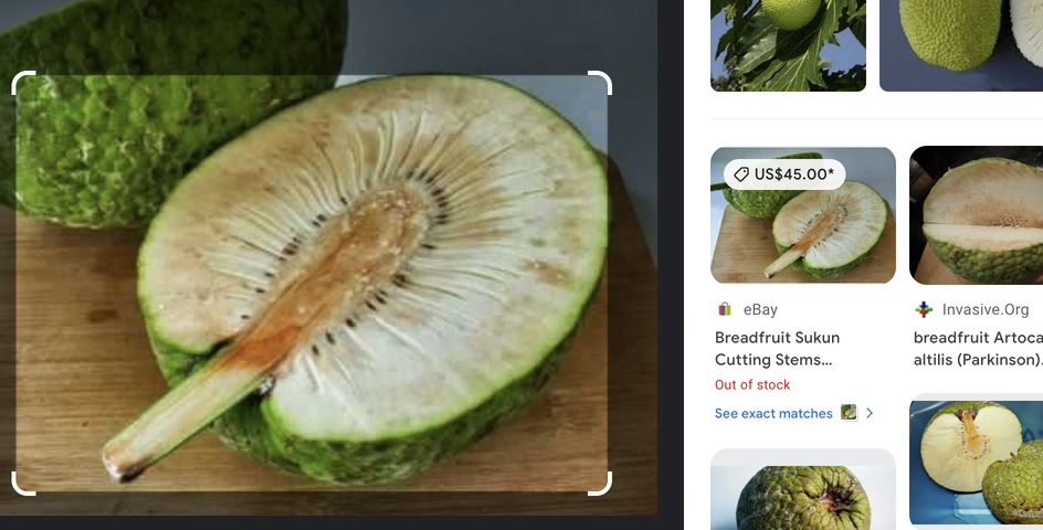 Fresh fruit and vegetables thread | Agora Road's Macintosh Cafe